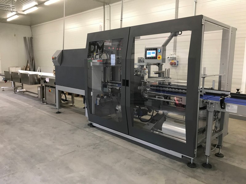 Used DM Pack STAR EVO 500B Packaging machine + DIBAL GW4000 Measuring ...